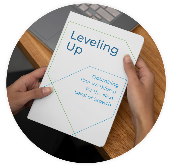 Leveling Up eBook